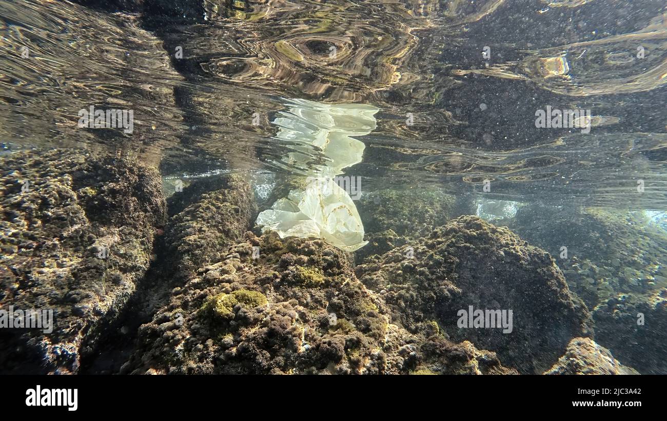 Detailed photography of sea water contaminated by micro waste and a ...