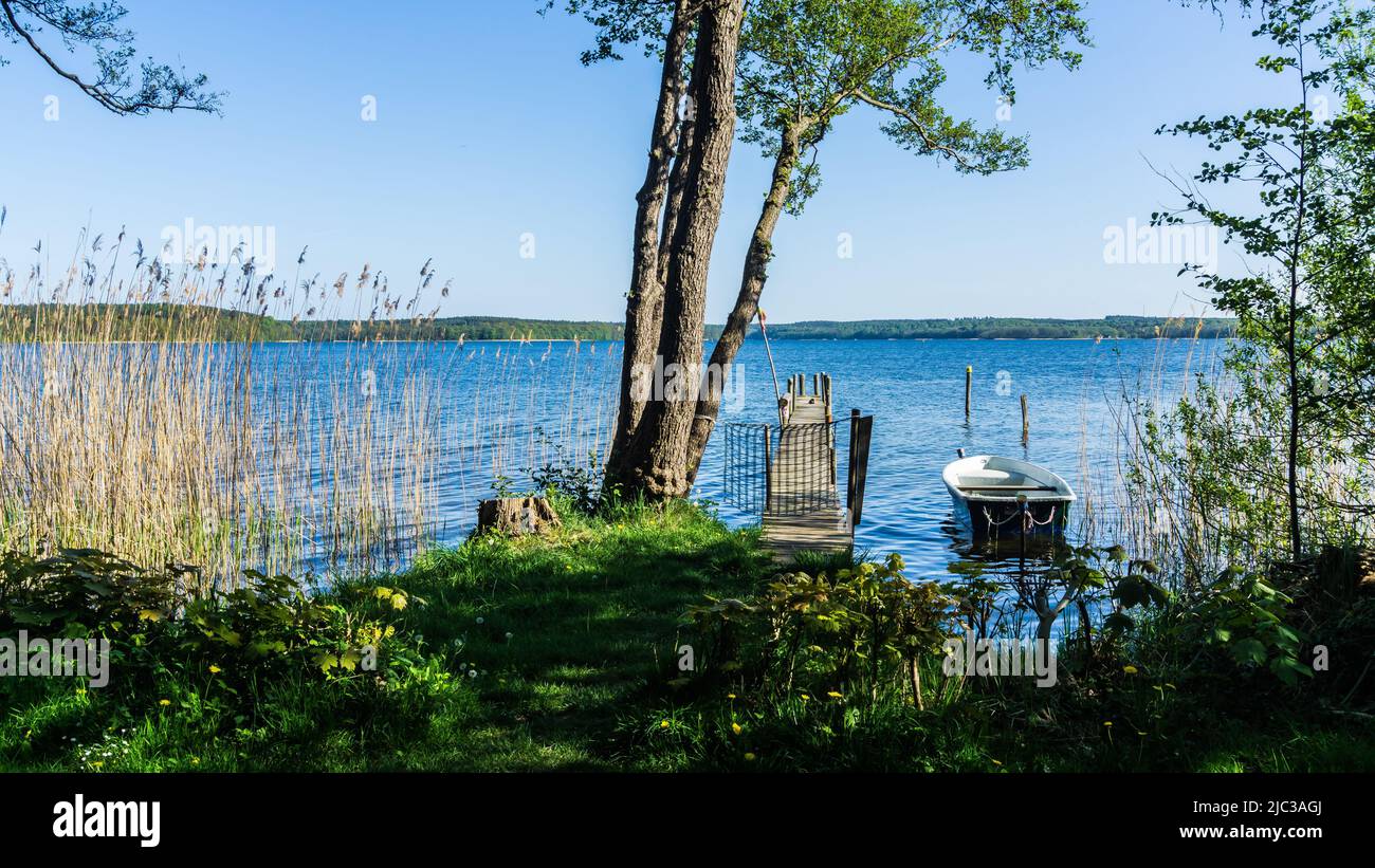 beautiful landscape view at the western lakeshore of Plauer See in Plau ...