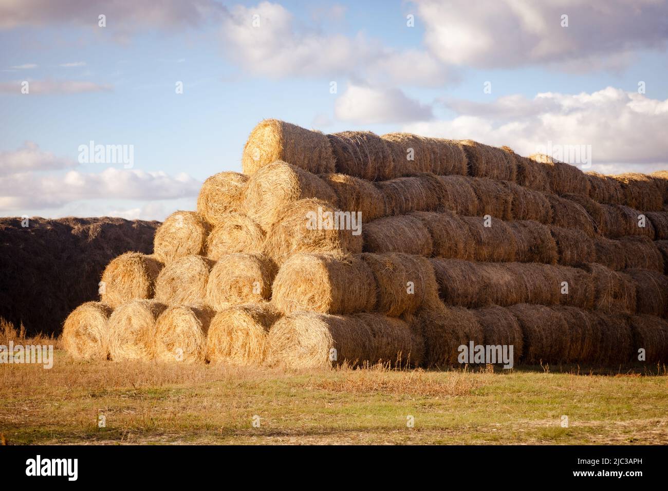 Gigantic rolled hay bales heap with stacks on each other resembling ...