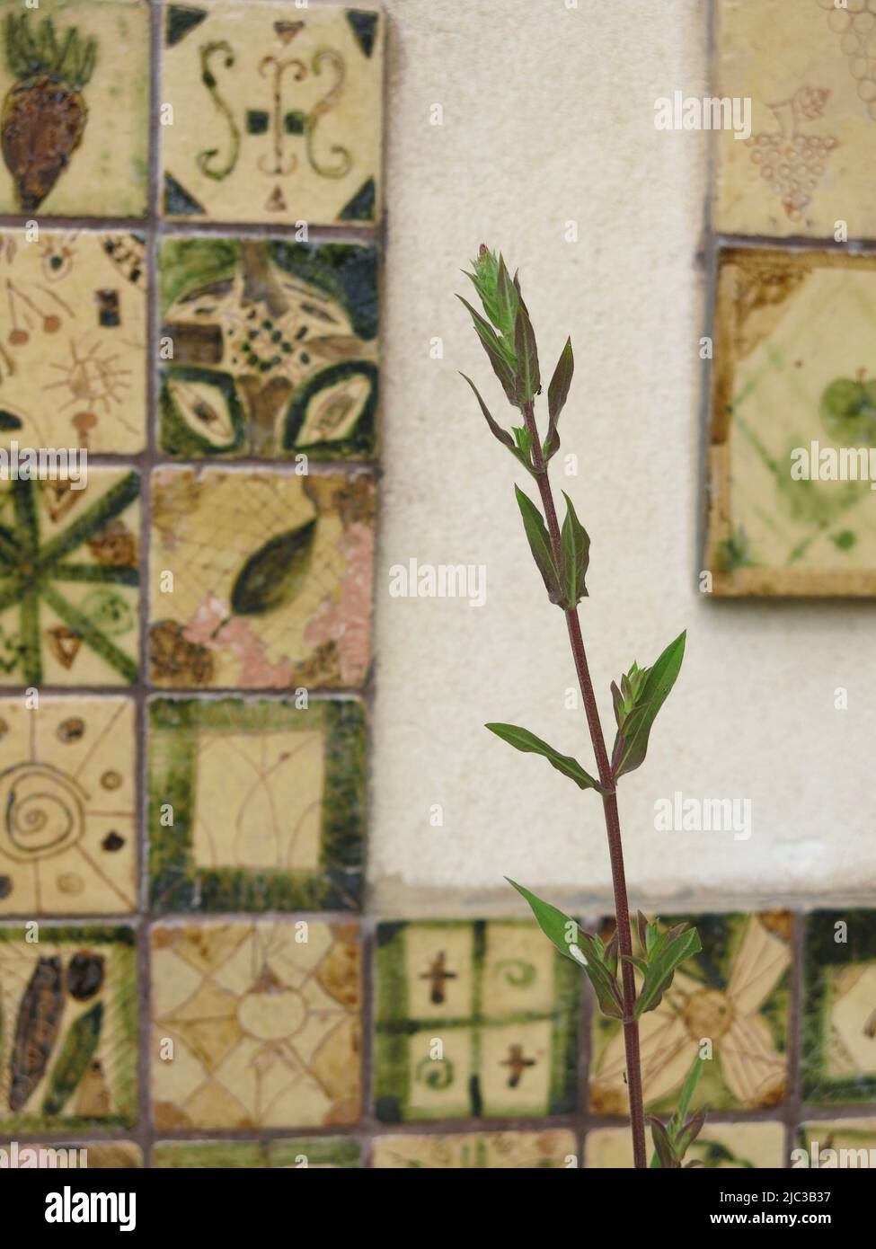 A mosaic of floral tiles decorates a wall in the courtyard of the ...