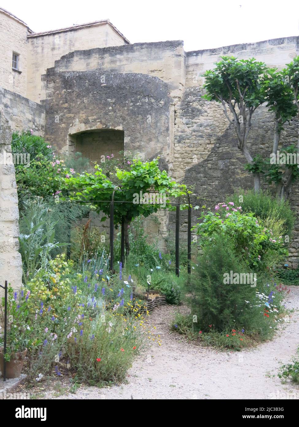 Inspired by the walled gardens of the Middle Ages, the Medieval Garden ...