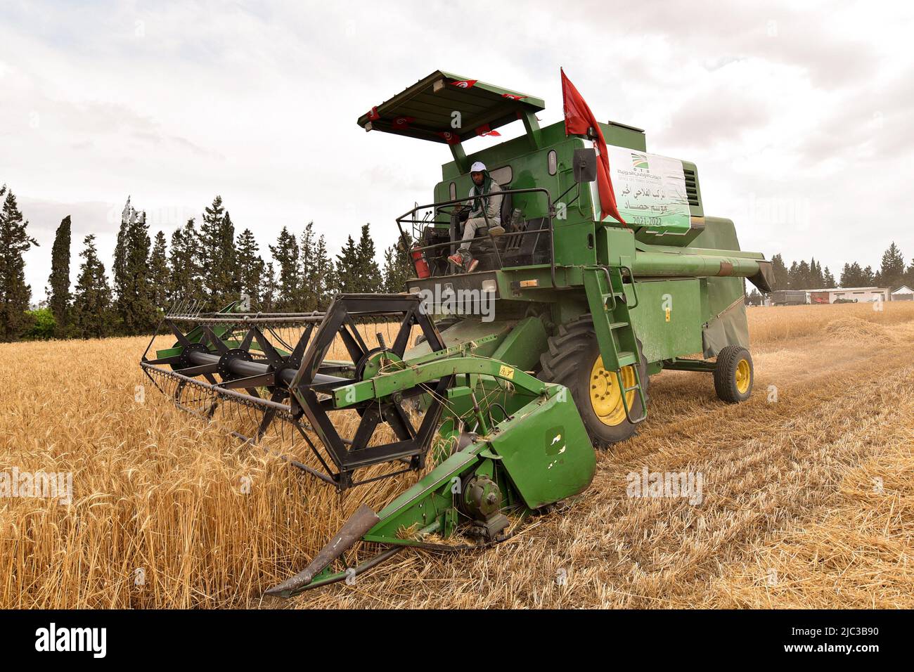 A combine harvester seen cutting wheat, threshing, and winnowing before ...