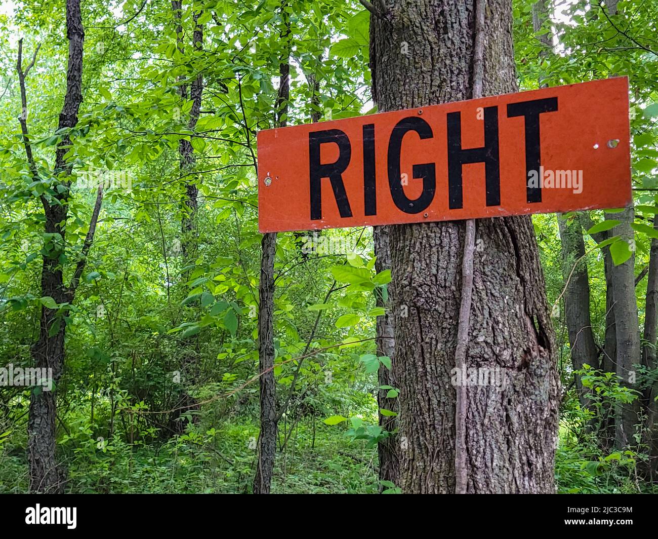 Wooden sign forest hi-res stock photography and images - Alamy