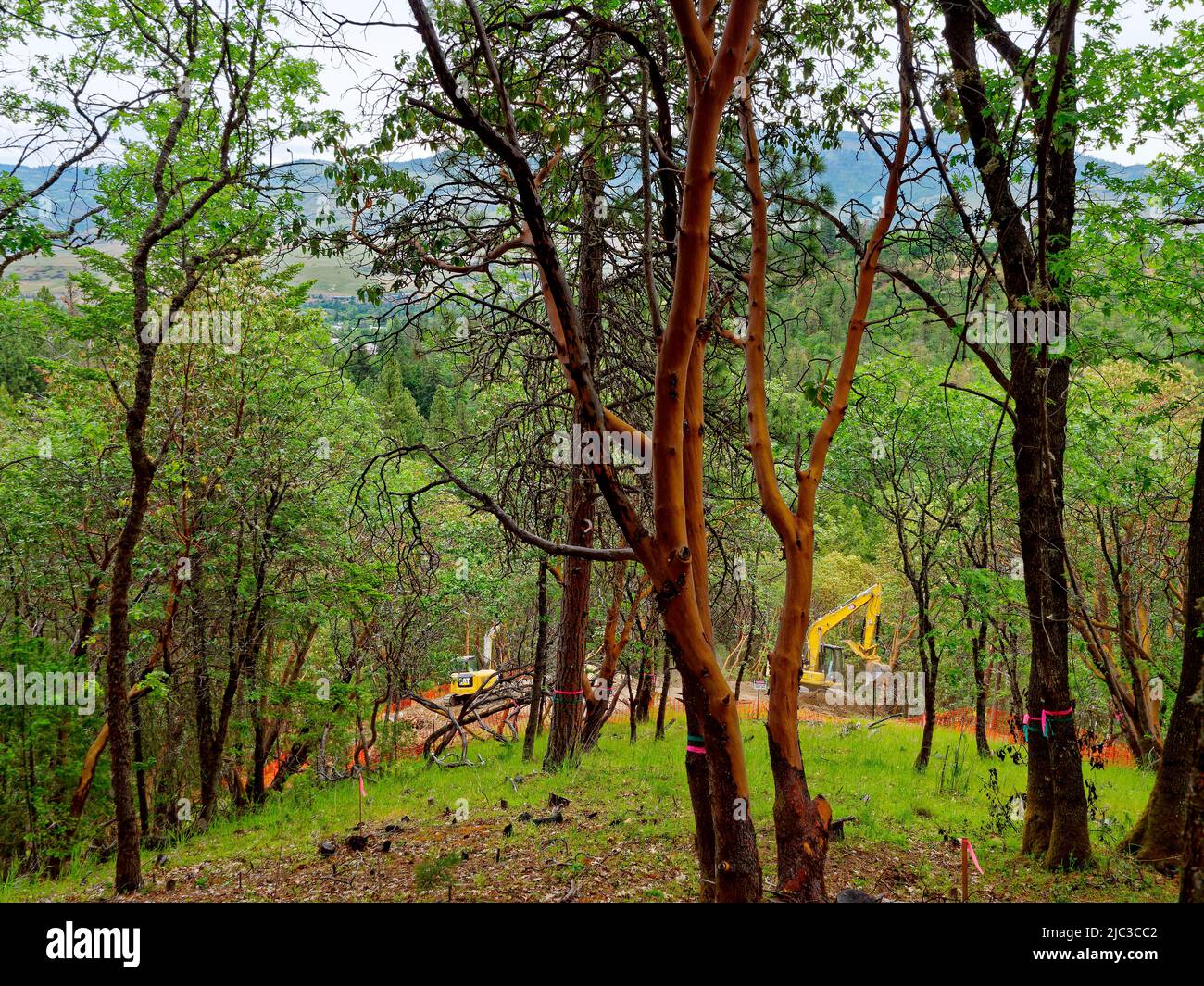 On the hillside above Ashland, Oregon, USA,a sign reads "fuel reduction ...