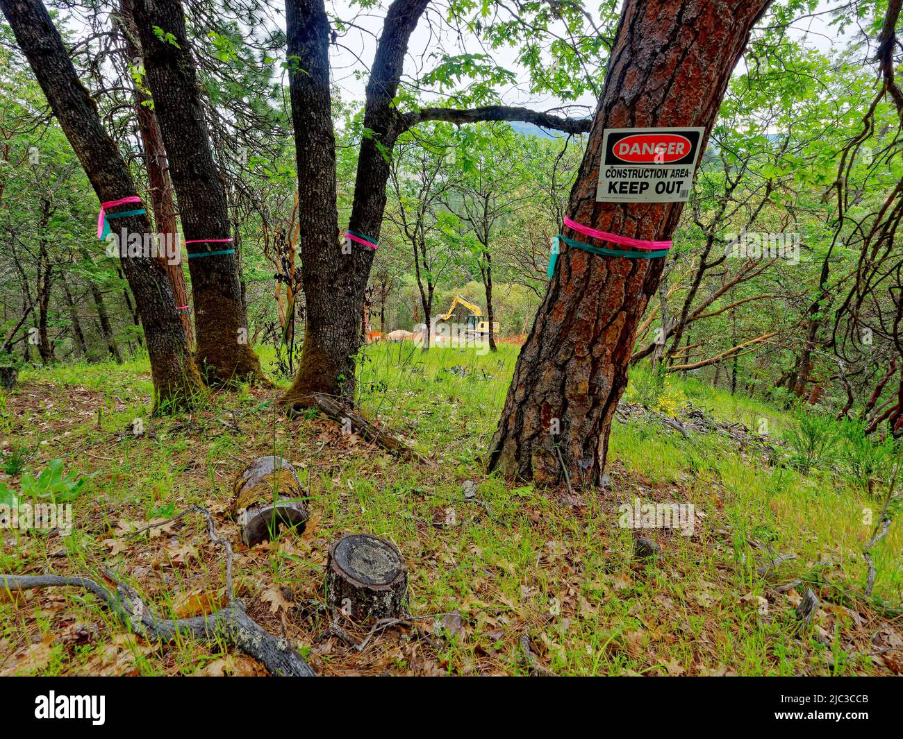 On the hillside above Ashland, Oregon, USA,a sign reads "fuel reduction ...