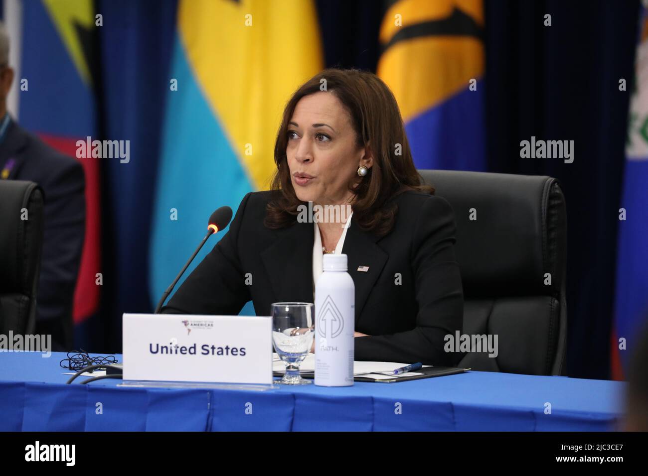 Vice President Kamala Harris meets with Caribbean leaders at the IX ...