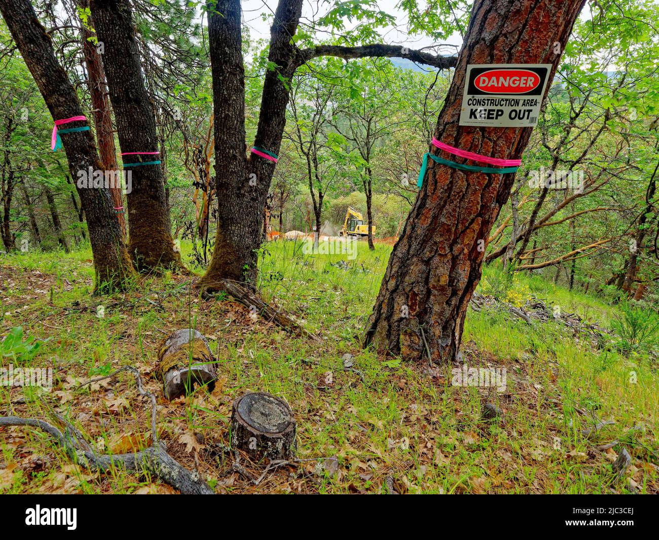 On the hillside above Ashland, Oregon, USA,a sign reads "fuel reduction ...