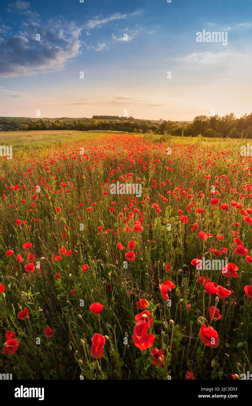 Beautiful warm nature scene hi-res stock photography and images - Alamy
