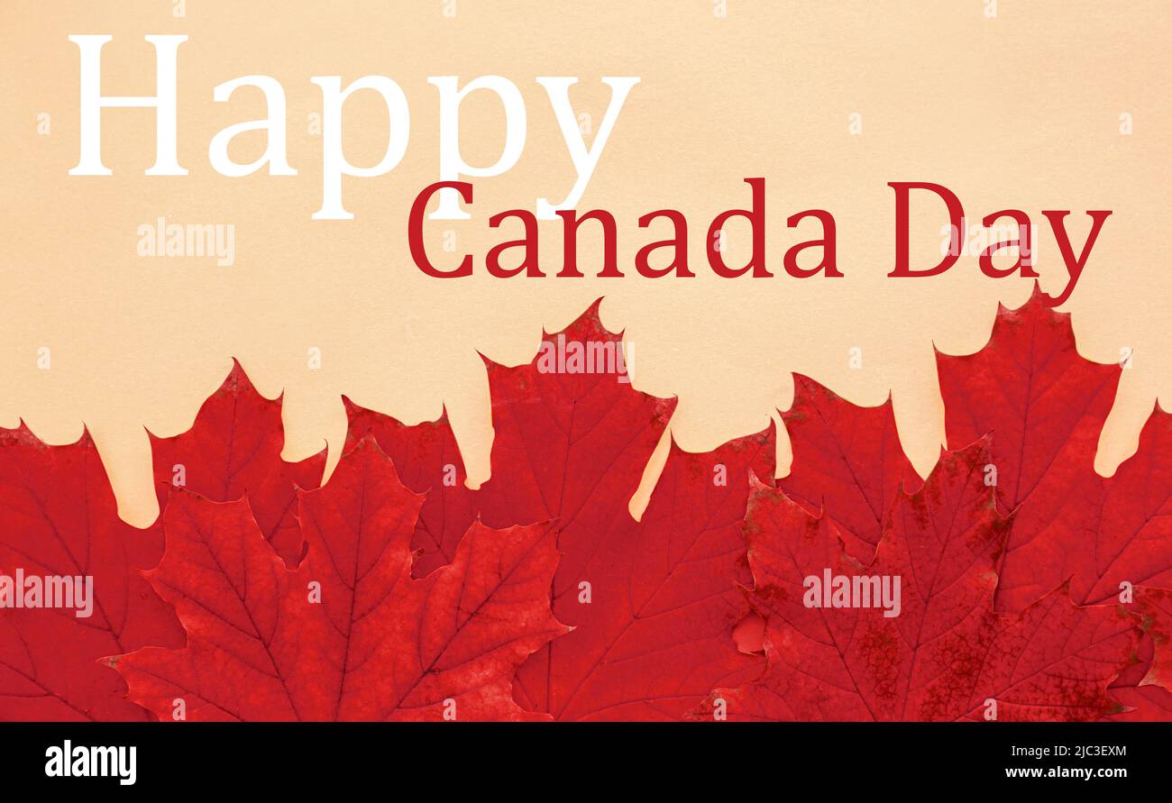 Greeting card for Canada Day with maple leaves Stock Photo - Alamy