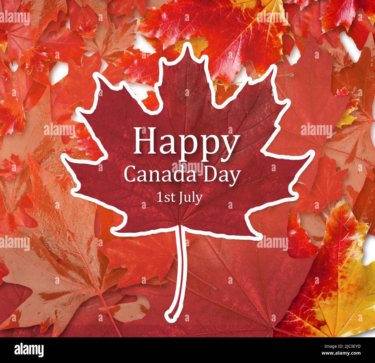 Independence canada day card hi-res stock photography and images - Alamy