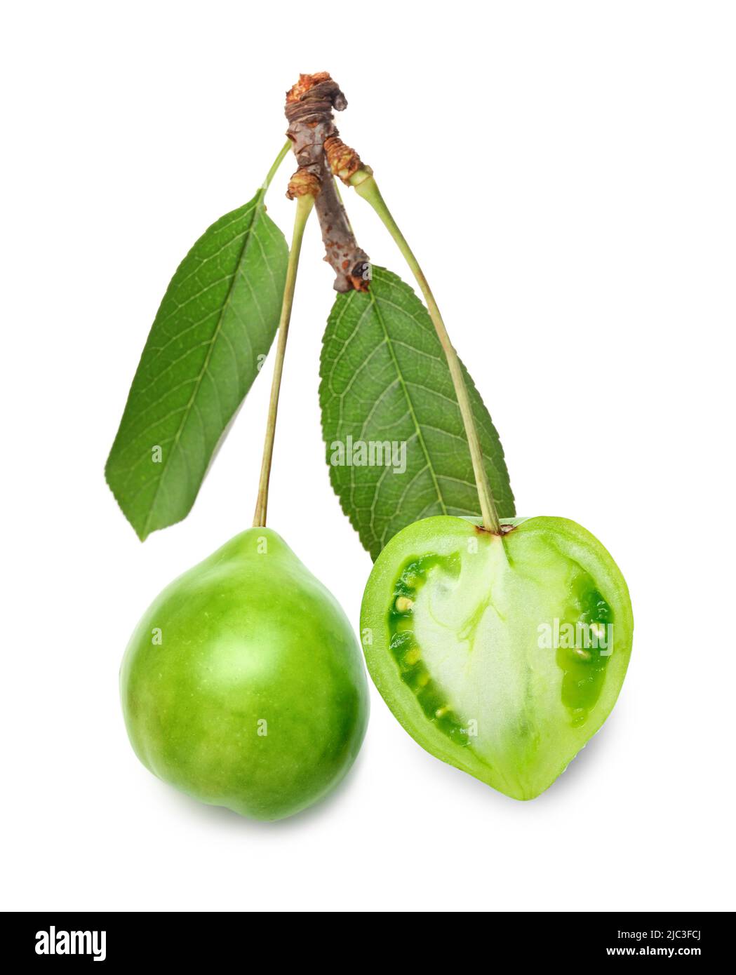 Cut cherries with tomatoes inside on white background. Concept of photo ...