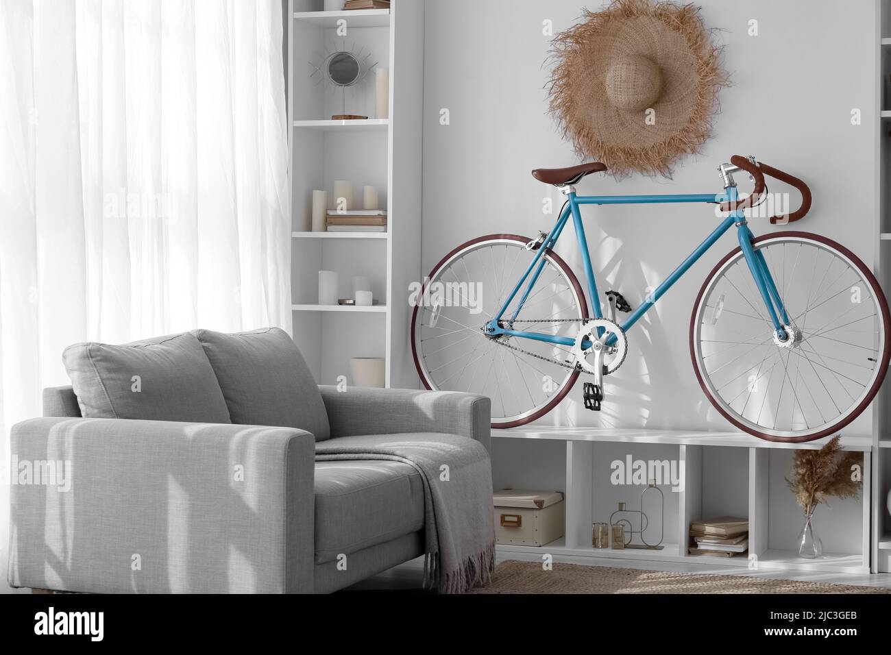 Interior of modern living room with bicycle, shelving unit and sofa Stock Photo - Alamy
