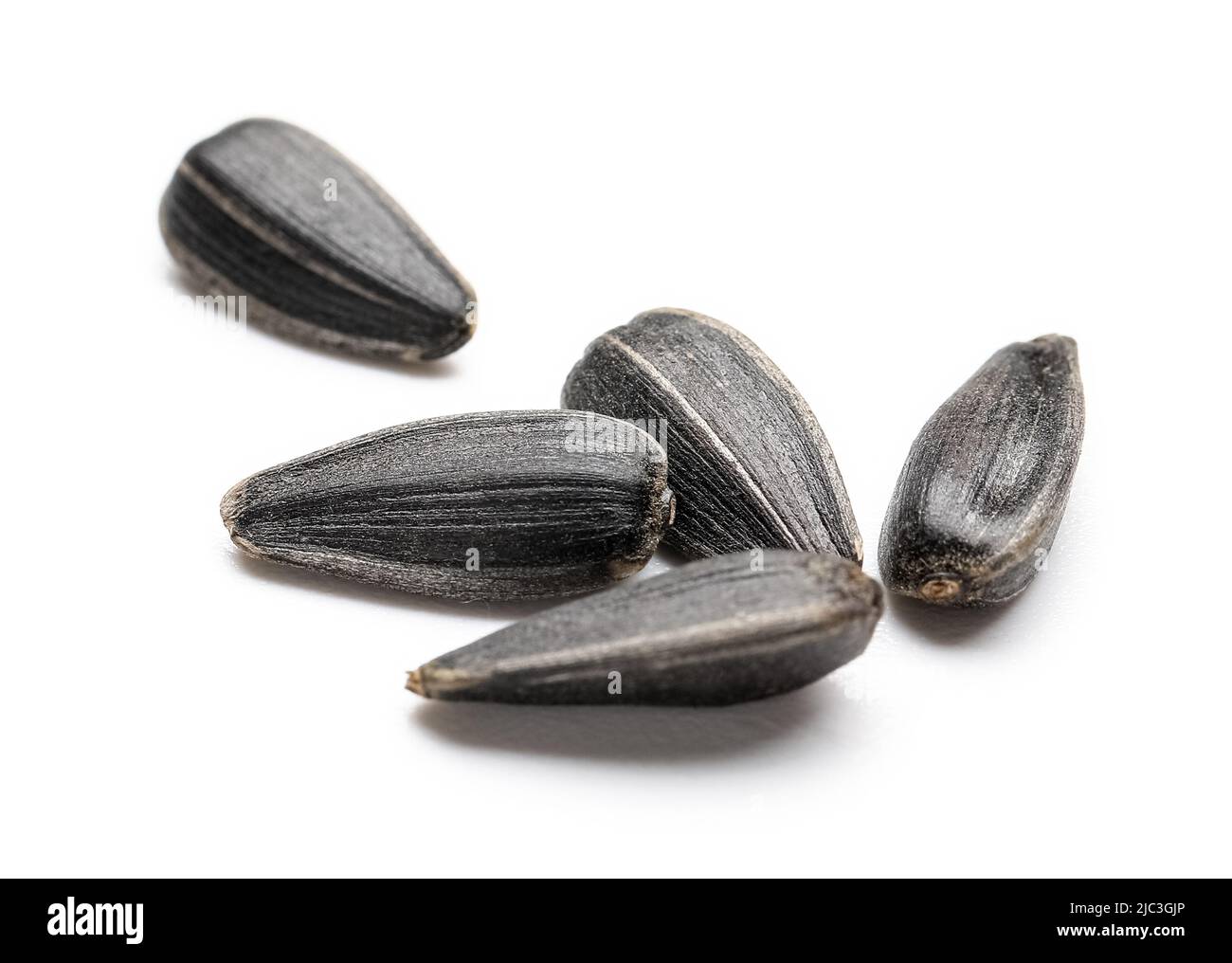 Unpeeled sunflower seeds on white background Stock Photo - Alamy