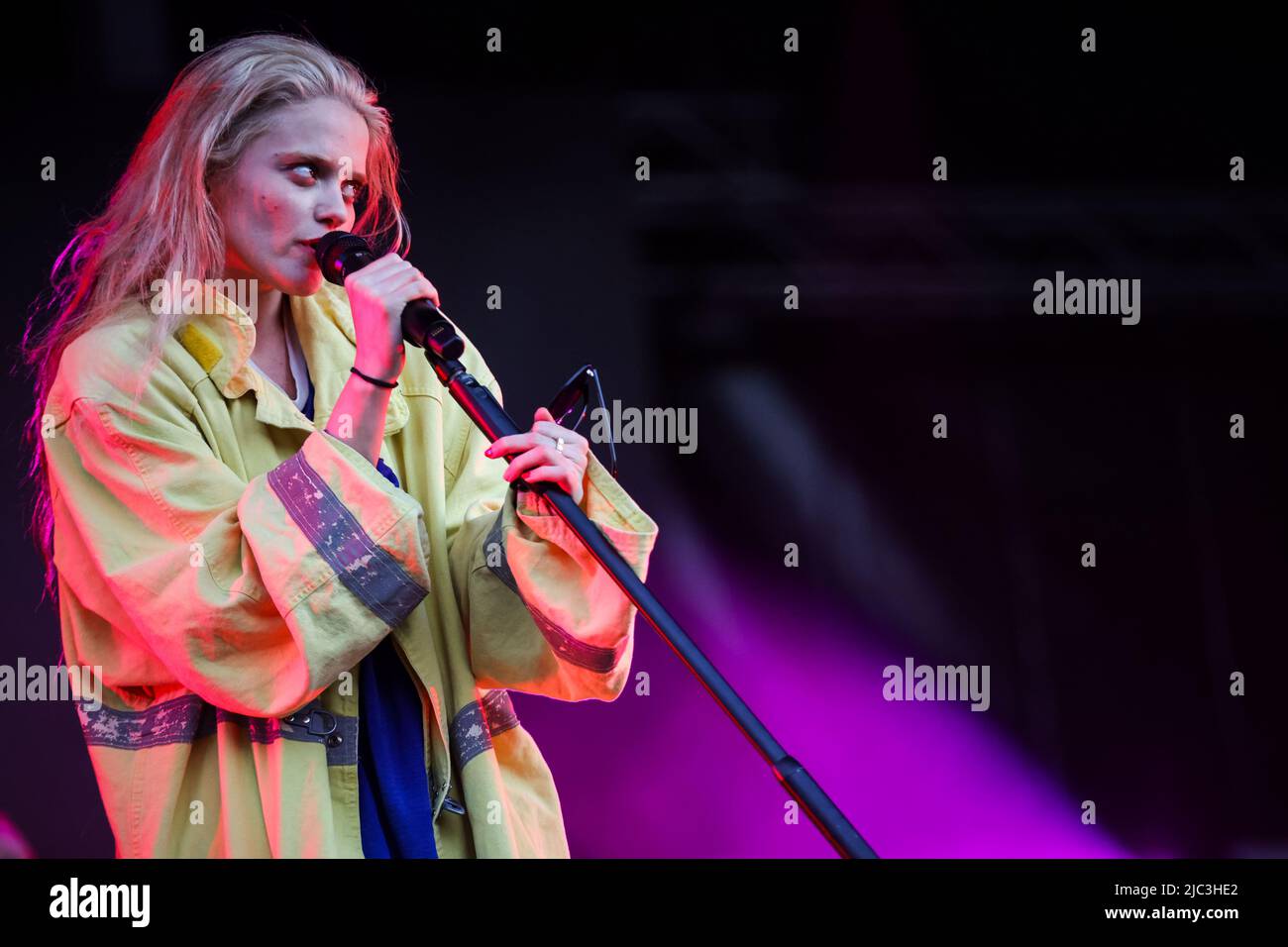 American singer, songwriter, model, and actress, Sky Tonia Ferreira ...