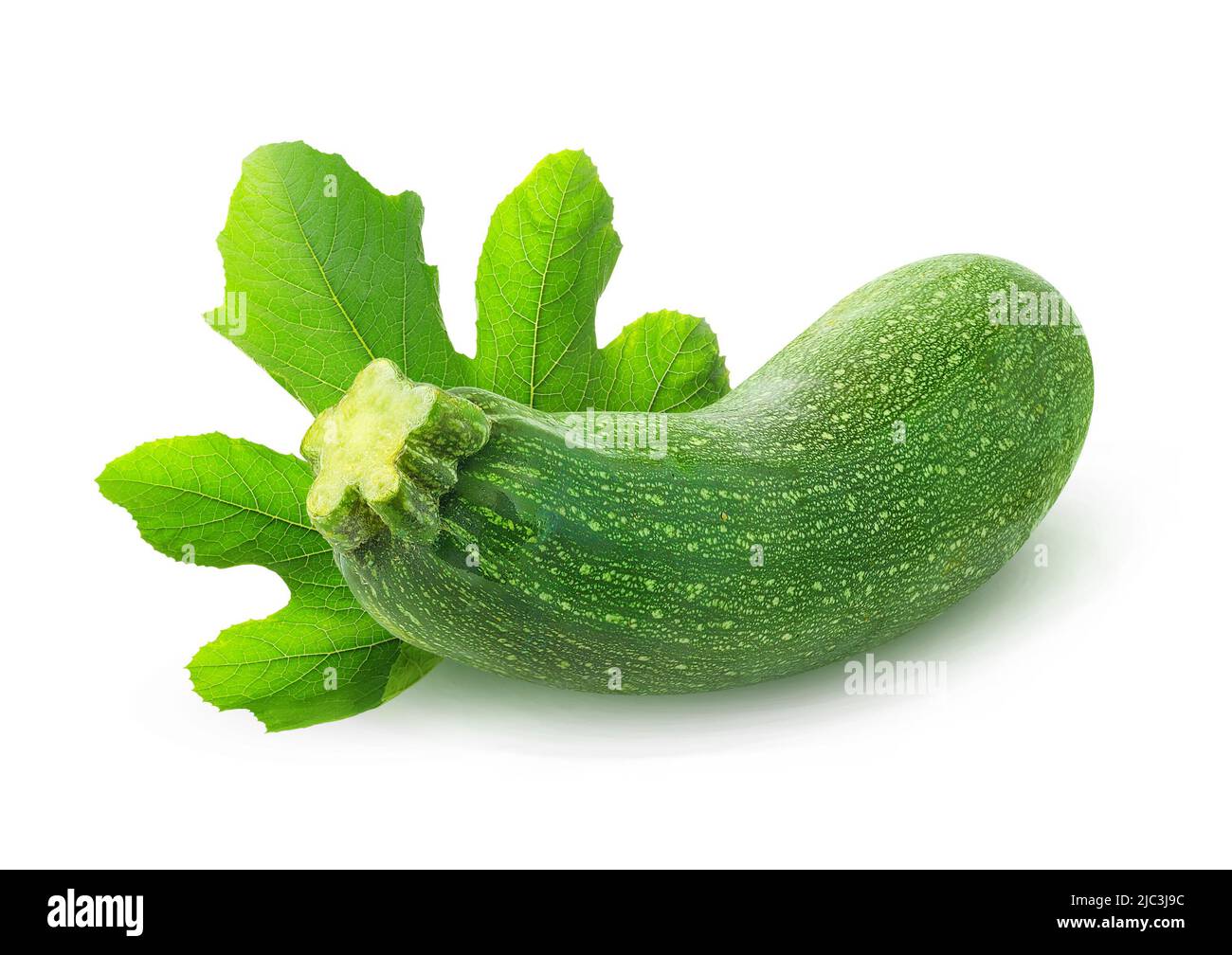 One raw zucchini with leaf isolated on white background Stock Photo - Alamy