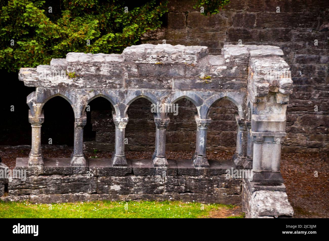 Early Gothic pointed arch cloisters of Cong Abby ruins in Cong, Ireland ...
