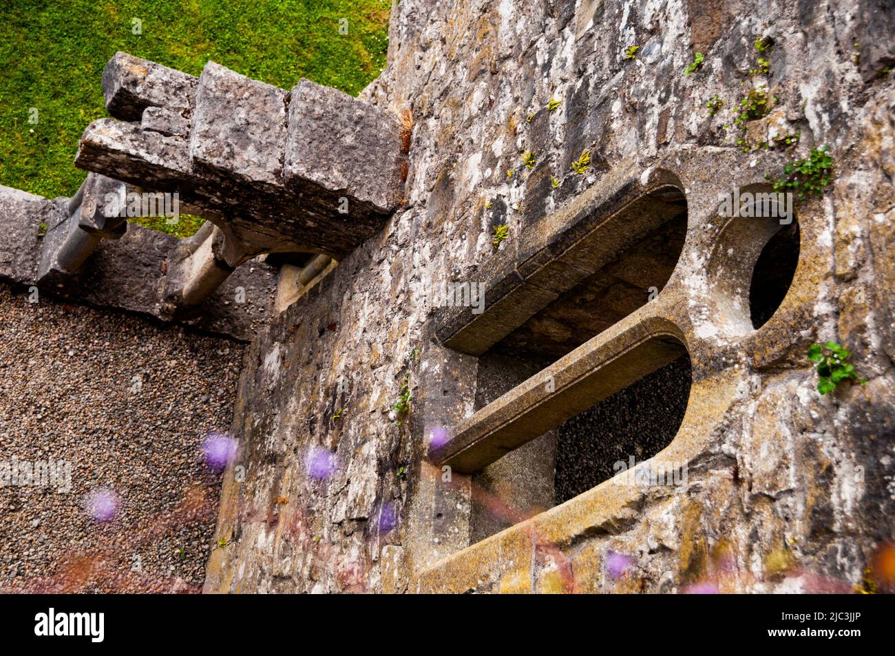 Coisters and Romanesque double arched window with oculus at Cong Abbey ...