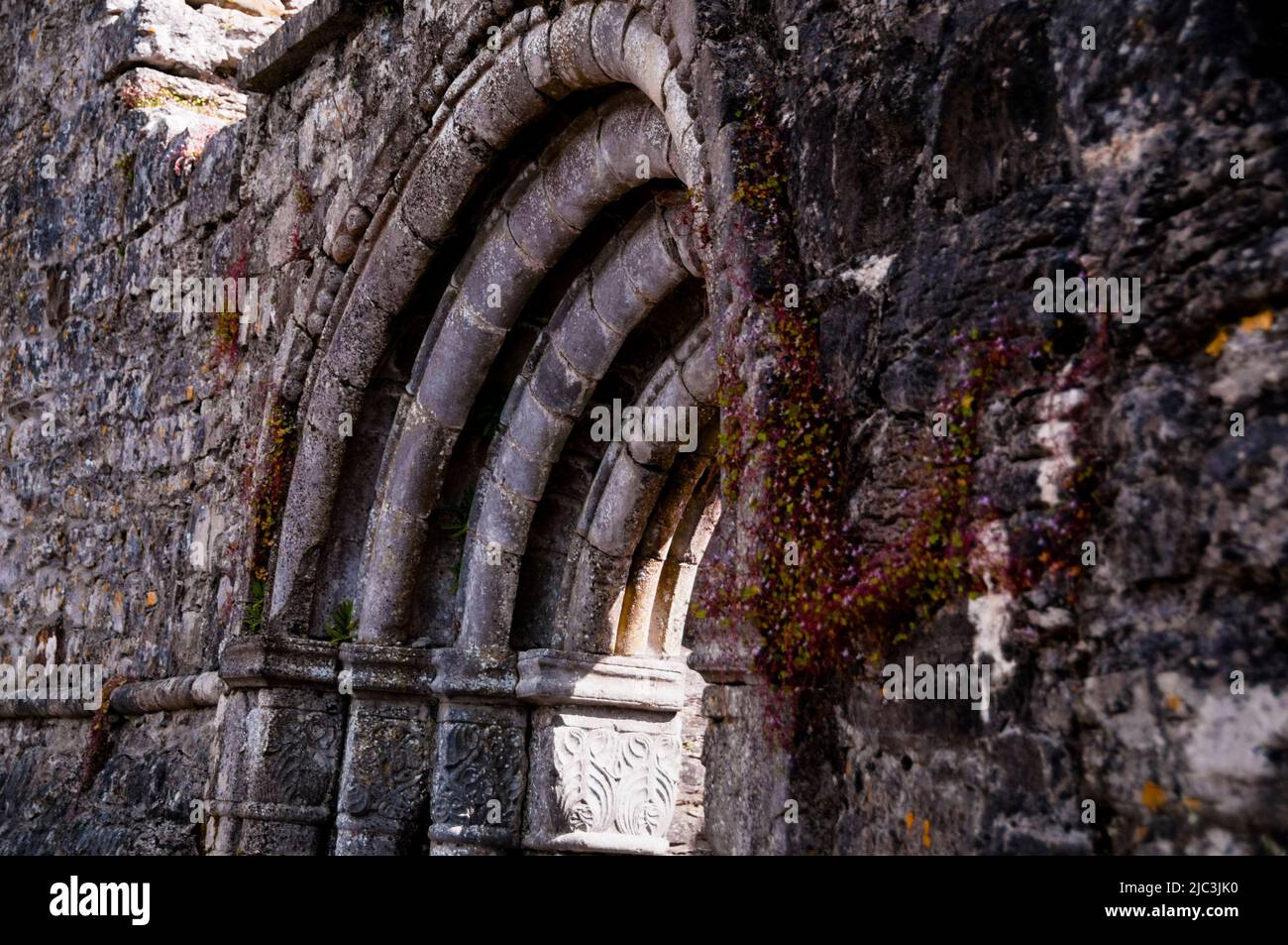 Romanesque arch at Cong Abbey ruins in Cong, Ireland Stock Photo - Alamy