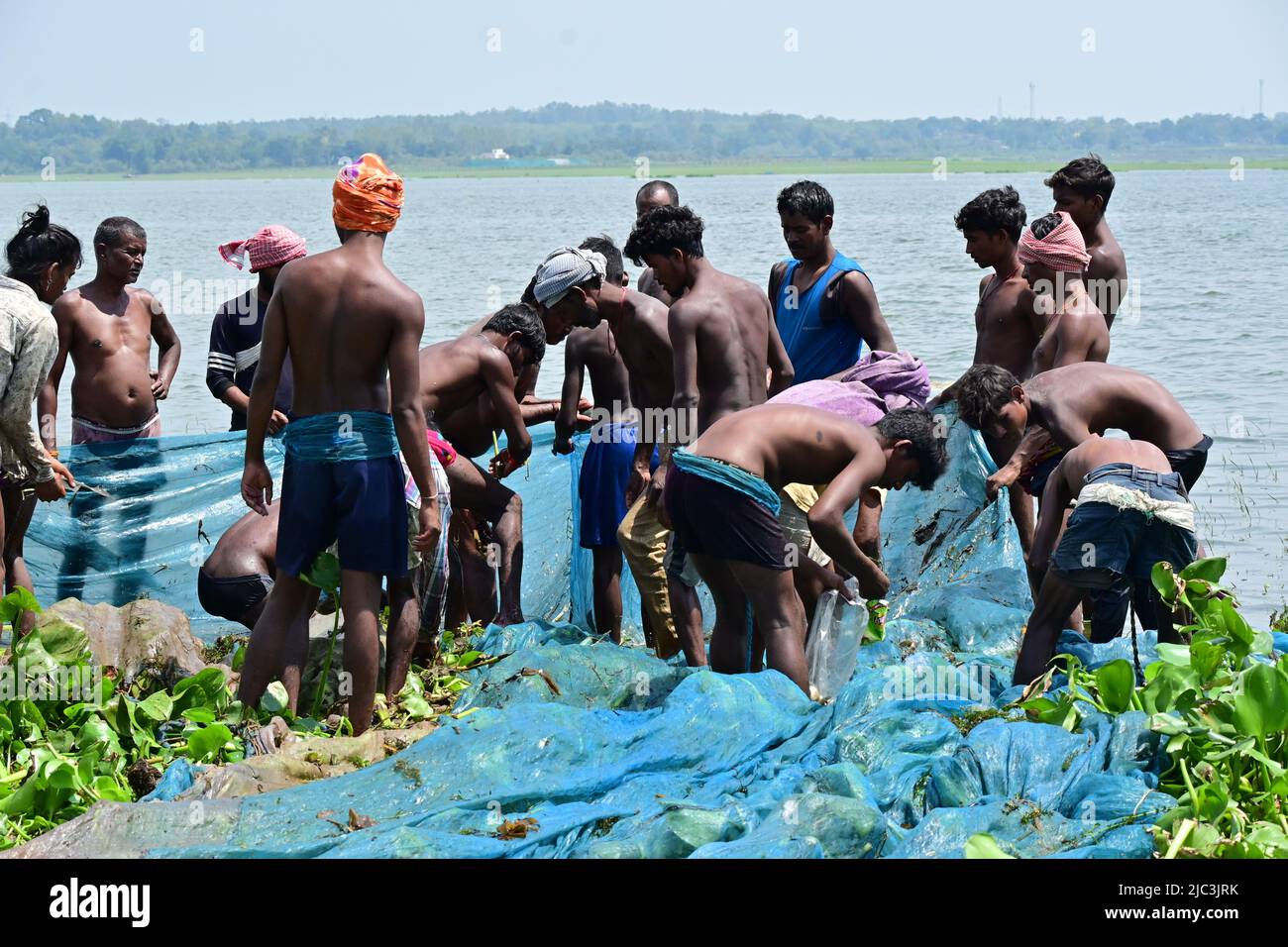 some people try catch fish by the net Stock Photo - Alamy