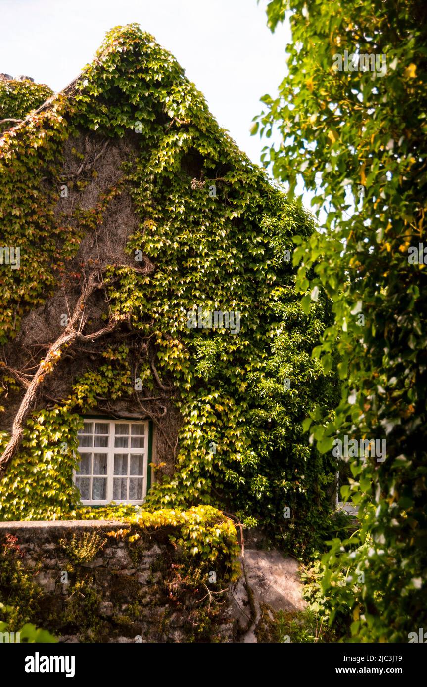 Cong river cottage hi-res stock photography and images - Alamy