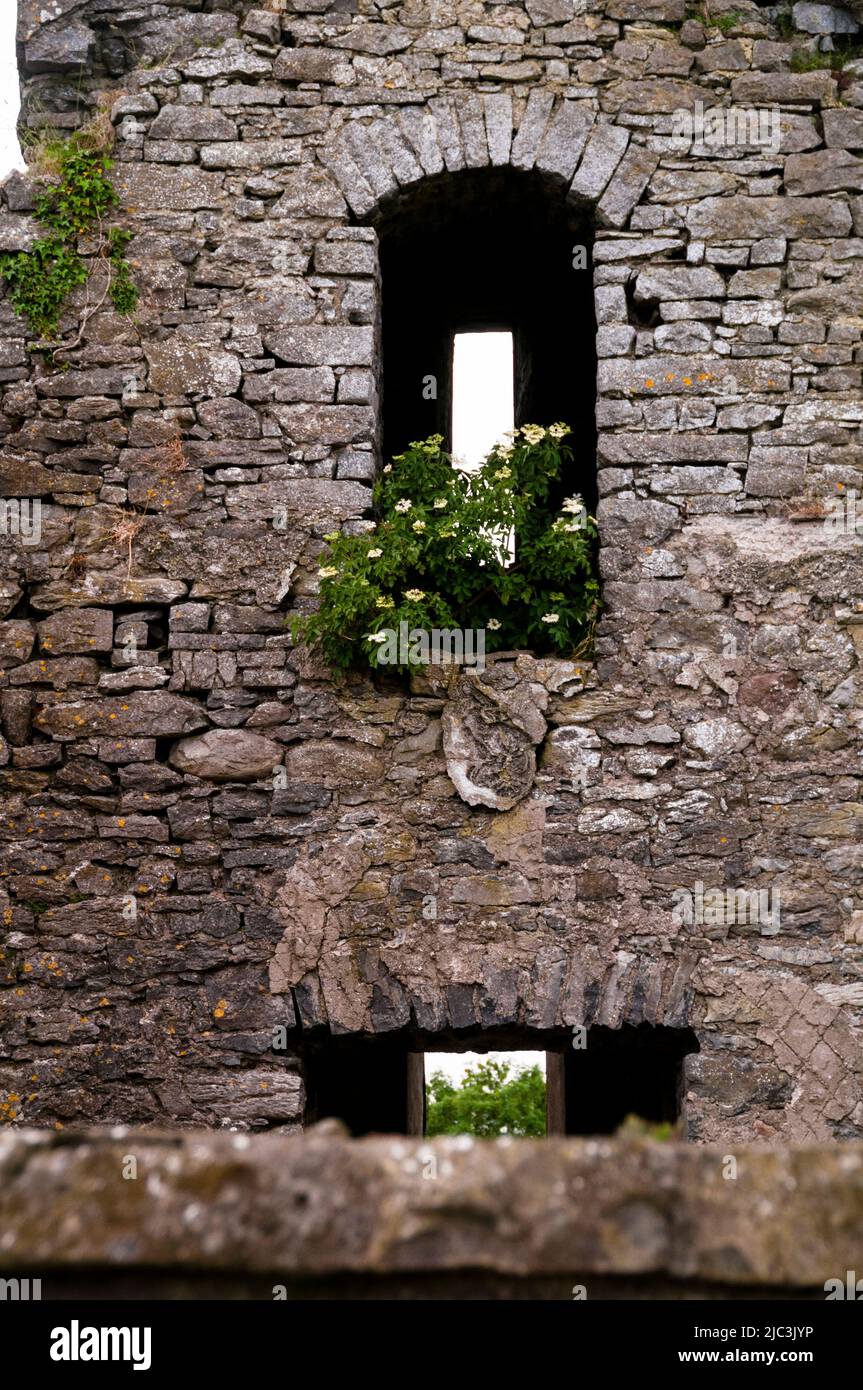 Romanesque stone arch at Neale Church in Neale Cemetery, Nealepark ...