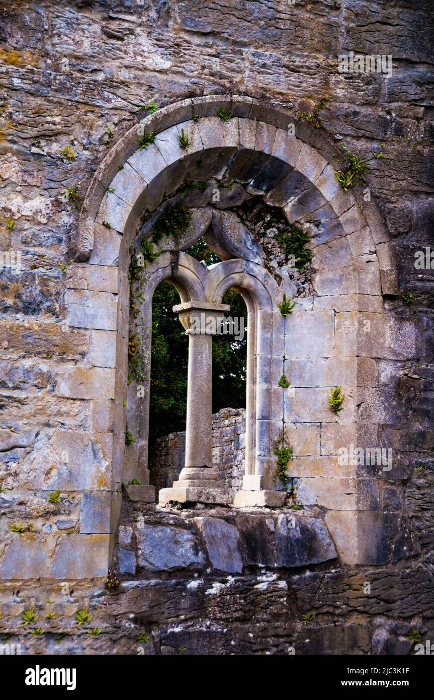 Romanesque beauty at Cong Abby ruins in Cong, Ireland Stock Photo - Alamy