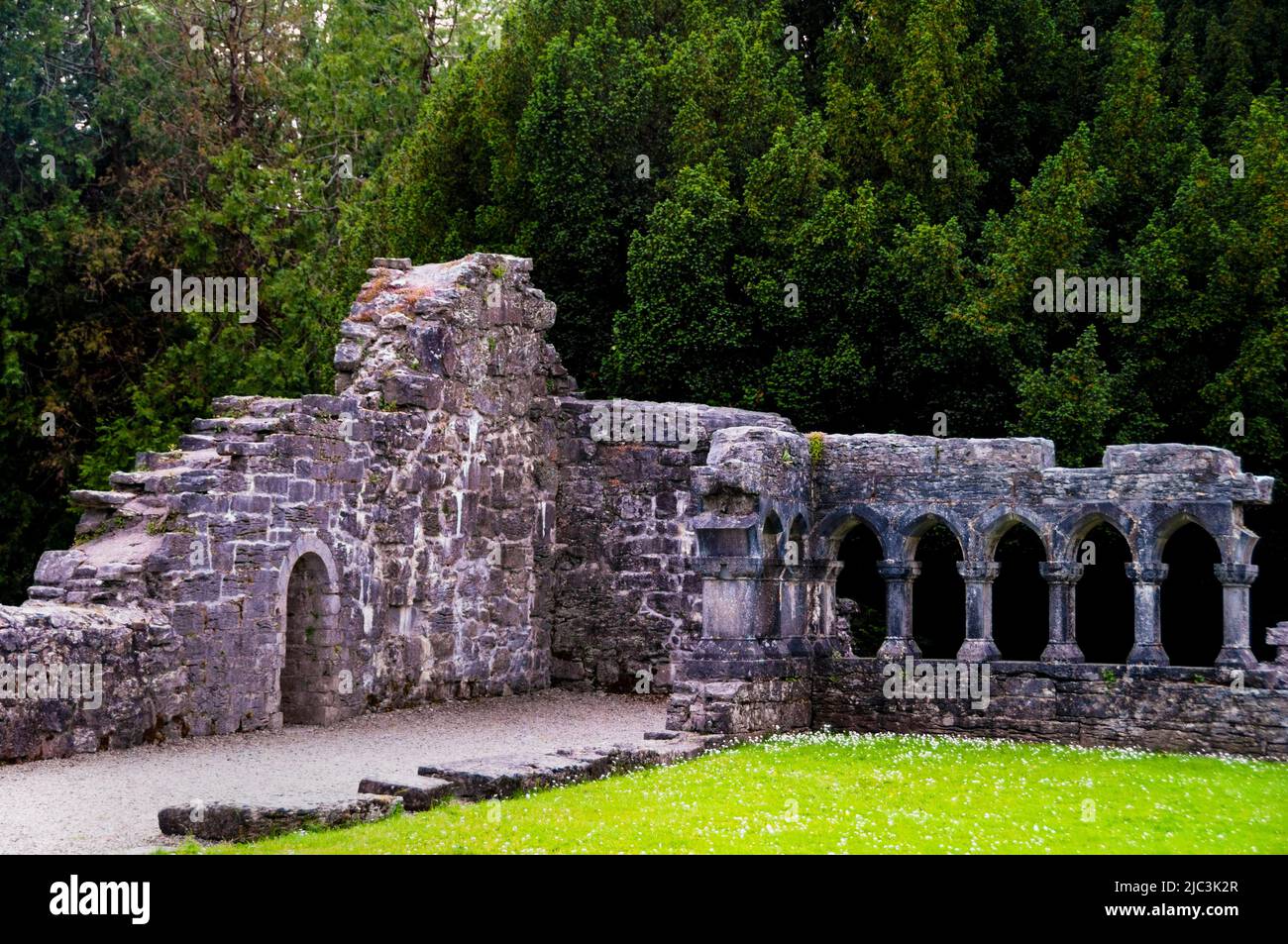 Gothic cloisters at Cong Abbey Ruins in Cong, Ireland Stock Photo - Alamy