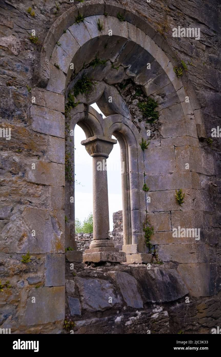 Double arched Romanesque window at Cong Abbey Ruins in Cong, Ireland ...