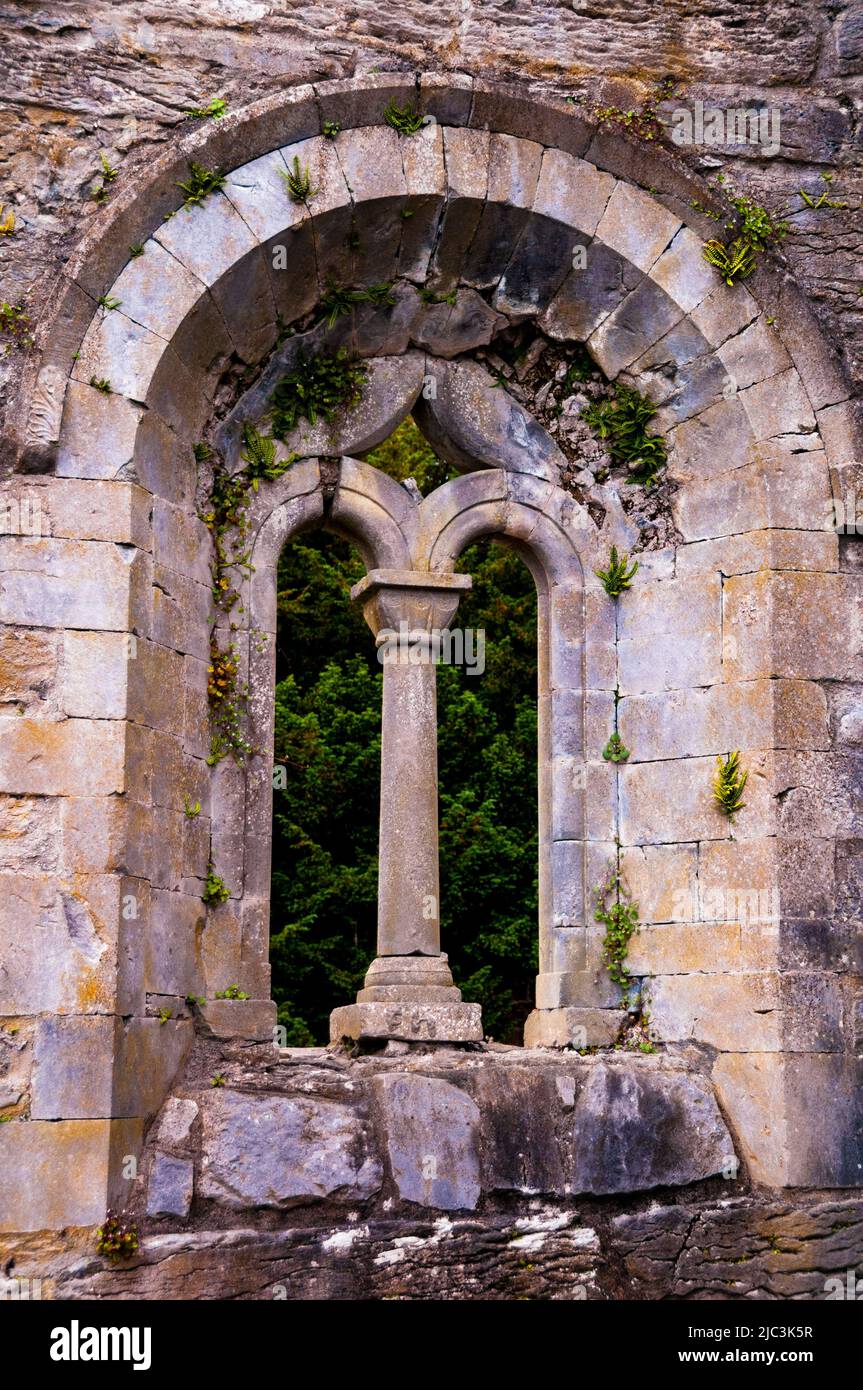 Arched Romanesque window at Cong Abbey ruins in Cong, Ireland Stock ...