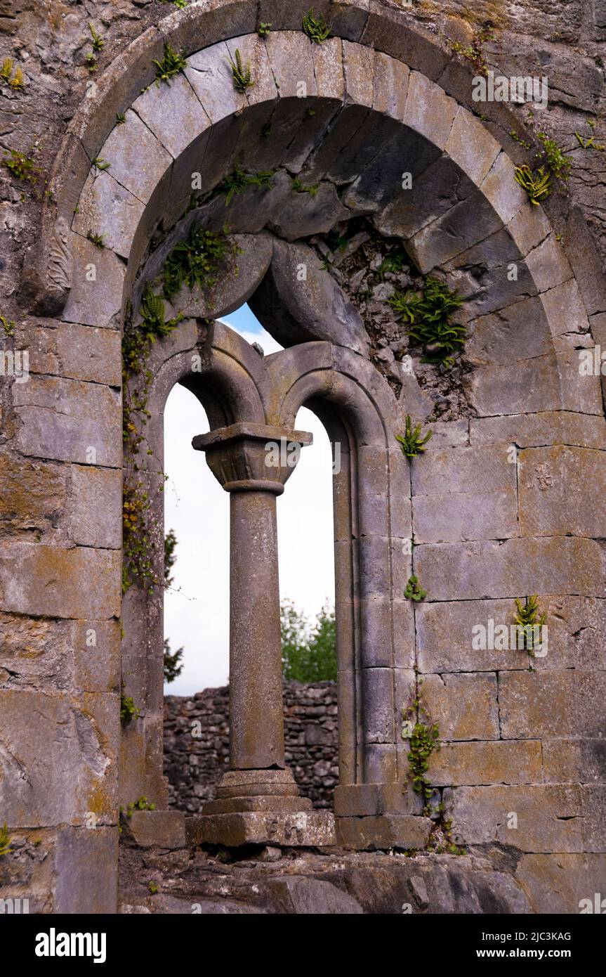 Romanesque window at Cong Abbey in Cong, Ireland Stock Photo - Alamy