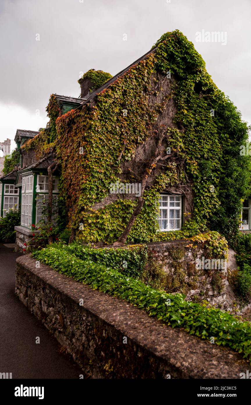 Cong river cottage hi-res stock photography and images - Alamy