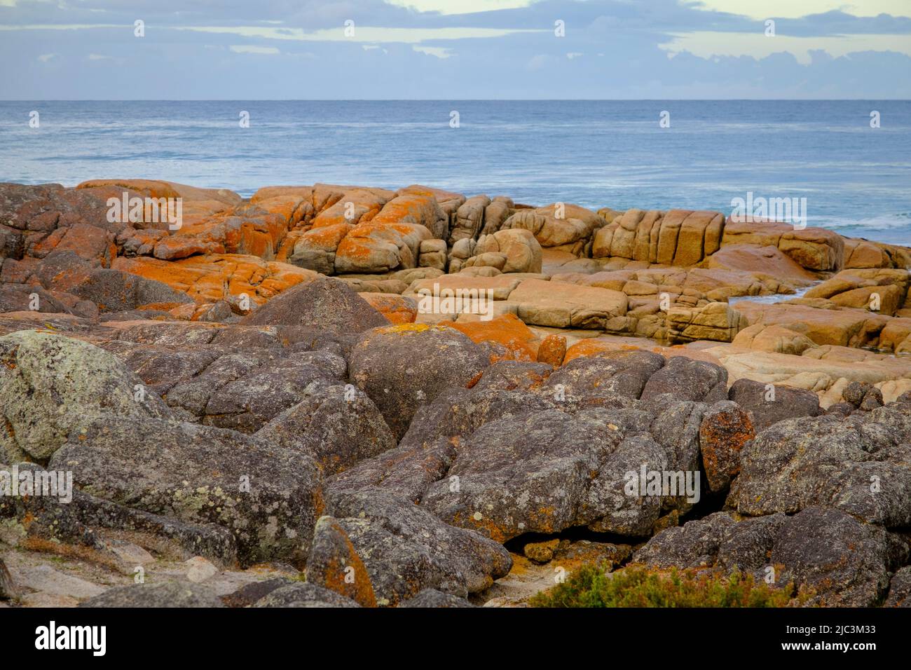 Friendly beaches tasmania hi-res stock photography and images - Alamy