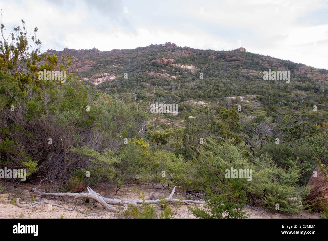 Wineglass Bay Lookout walk Stock Photo - Alamy