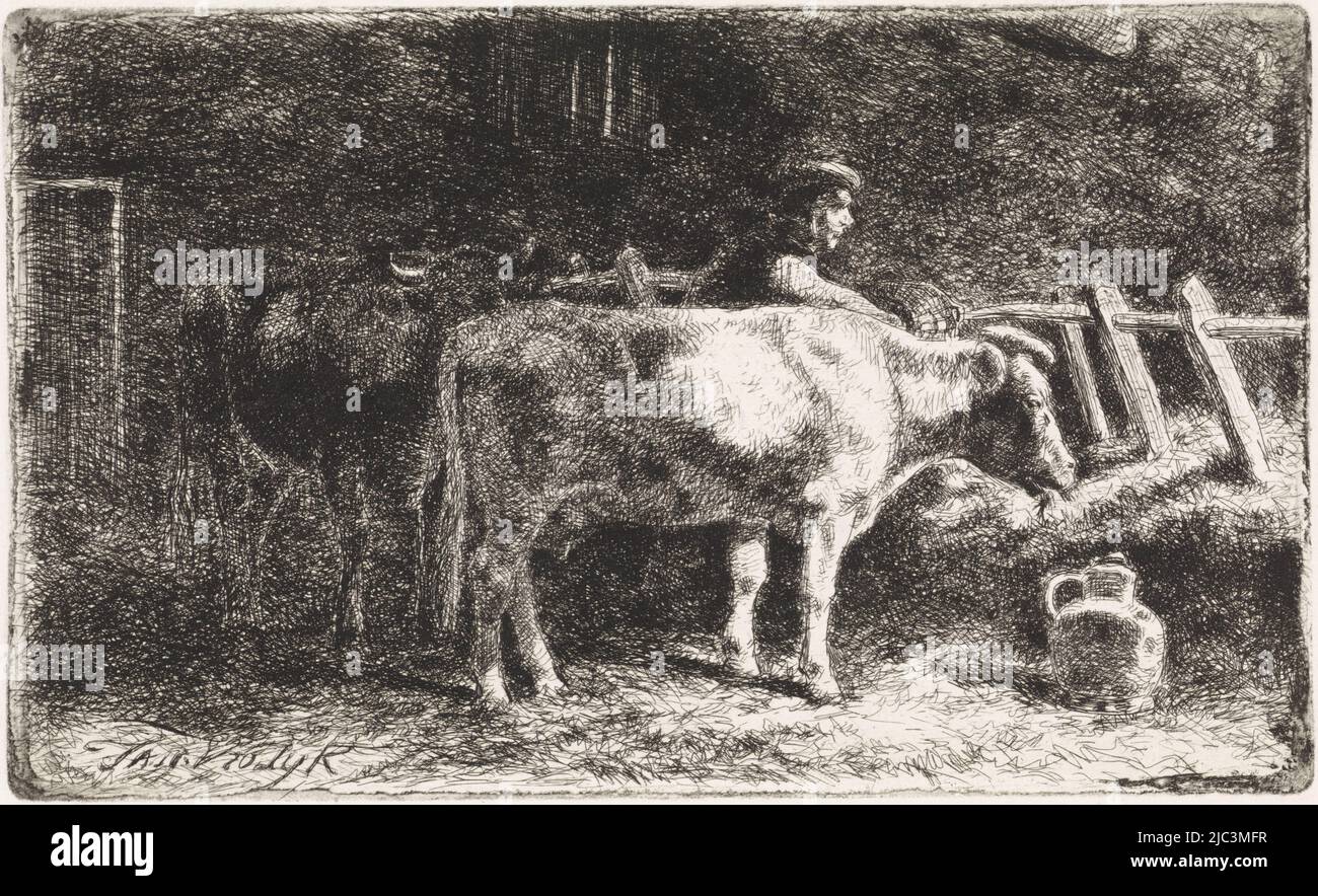 Farmer between two cows near a rack in a barn (large variant), print ...