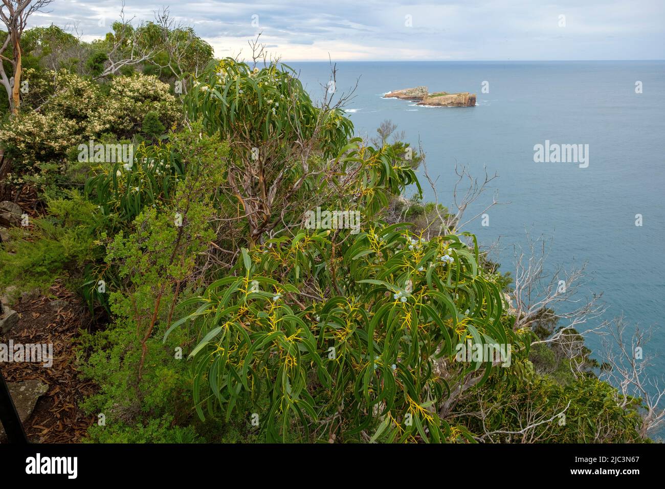 Cape Tourville Lighthouse walk Stock Photo - Alamy