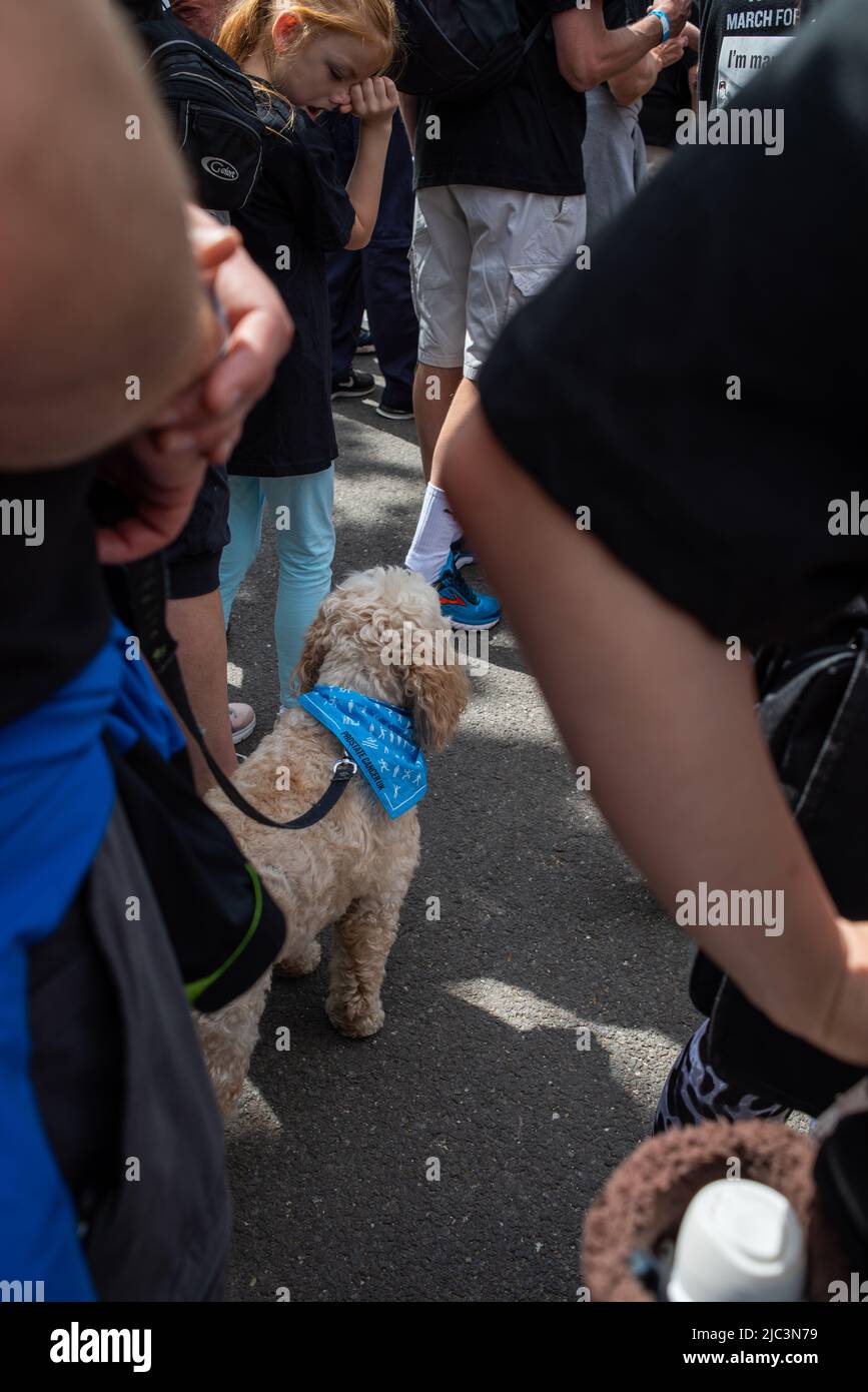 Prostate Cancer UK - March for Men - 16th June 2018 Stock Photo - Alamy