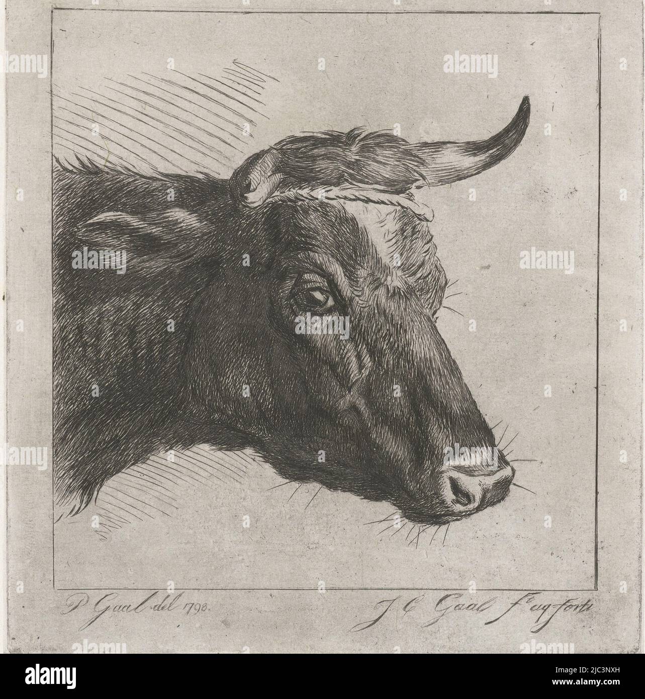 H 140 mm w 125 mm hi-res stock photography and images - Alamy