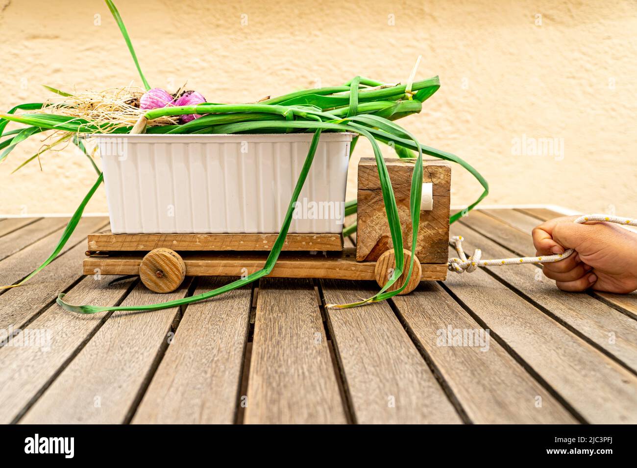 boy pulling toy truck made from recycled materials transporting freshly ...