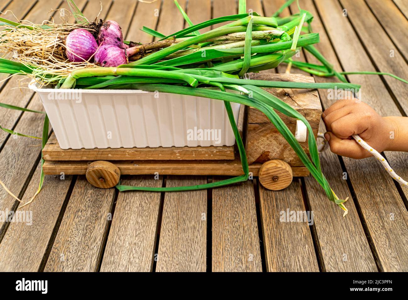 boy pulling toy truck made from recycled materials transporting freshly ...