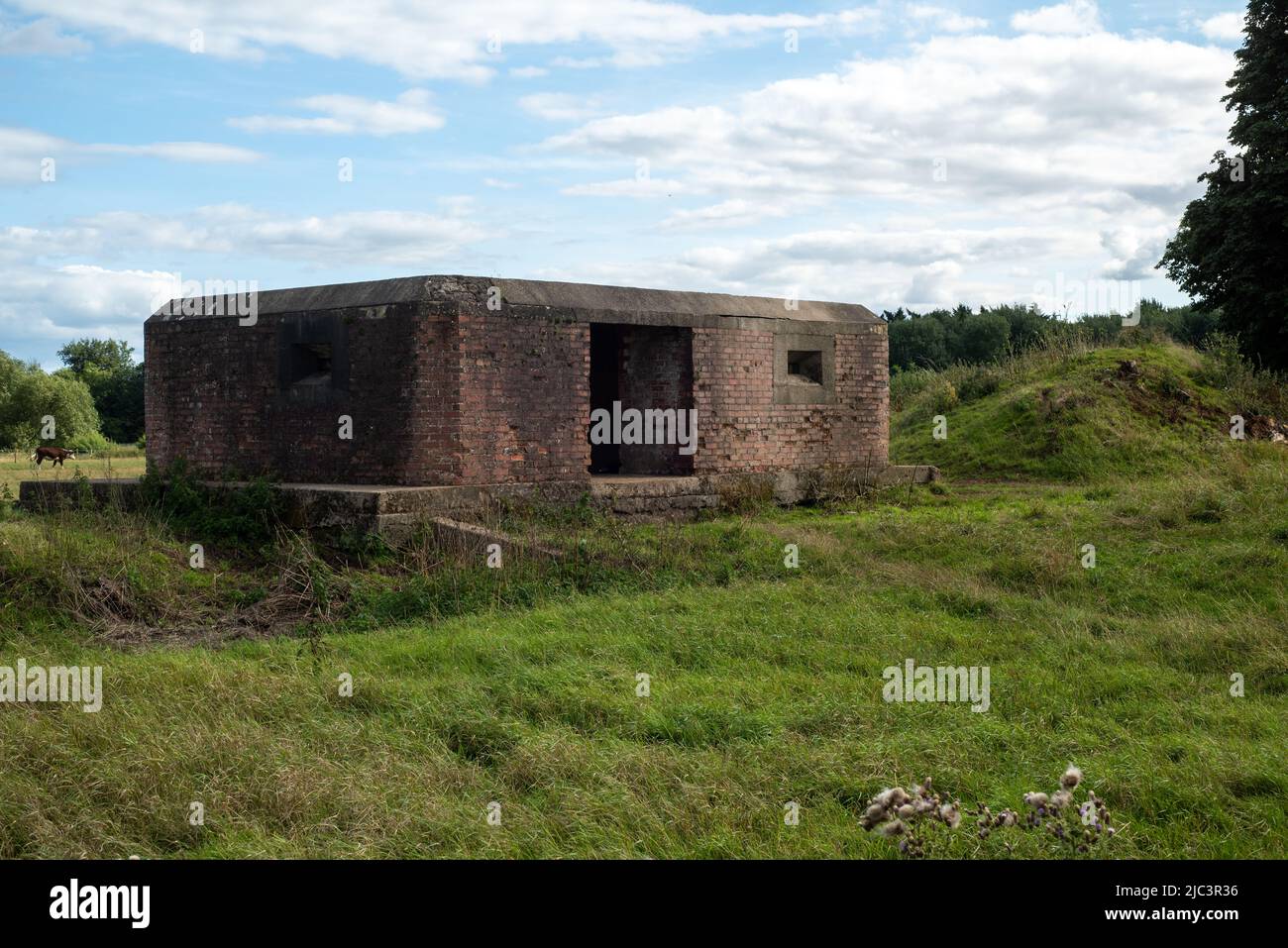 Gun emplacement from world war hi-res stock photography and images - Alamy
