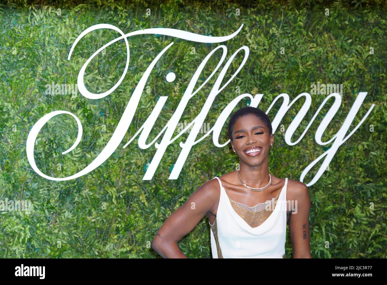 Eva Apio arrives for the House of Tiffany & Co Vision and Virtuosity ...