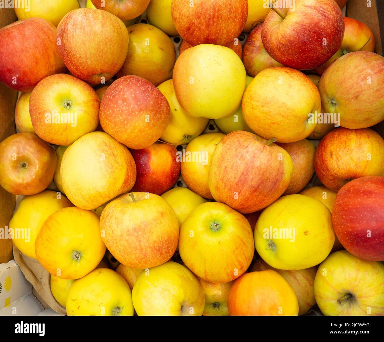 Crips Pink apples on the counter. Fruit in a box in the store. Food for ...