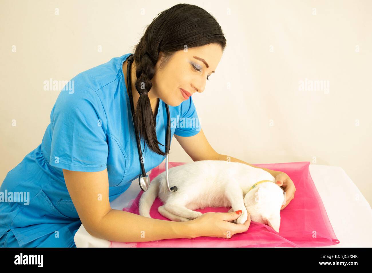 beautiful young female veterinarian in blue uniform and stethoscope ...