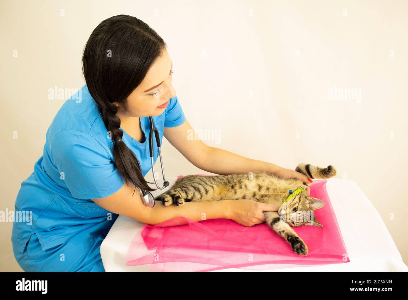 beautiful young female veterinarian in blue uniform and stethoscope ...