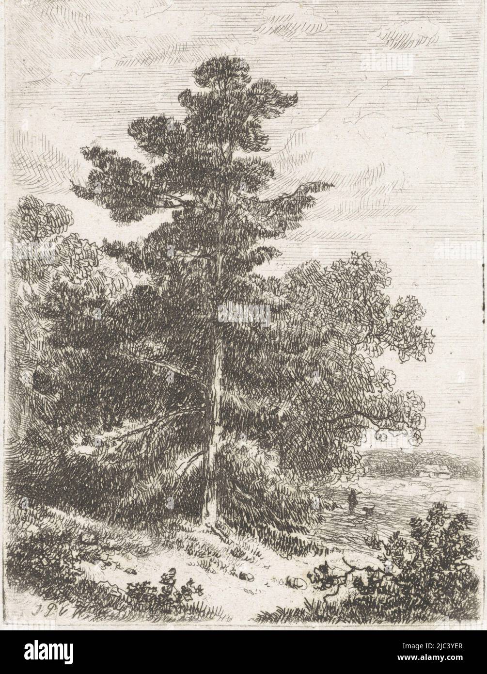 Sirius Black Family Tree Cumberbatch