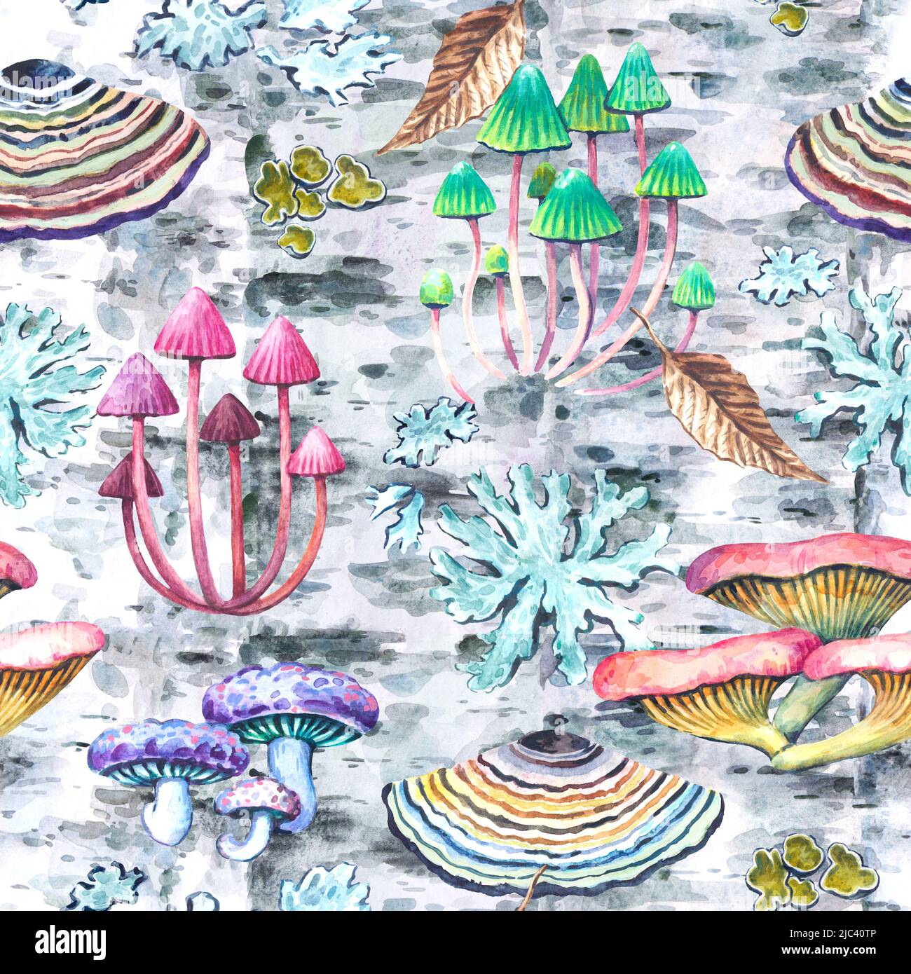 Lichens illustration hi-res stock photography and images - Alamy