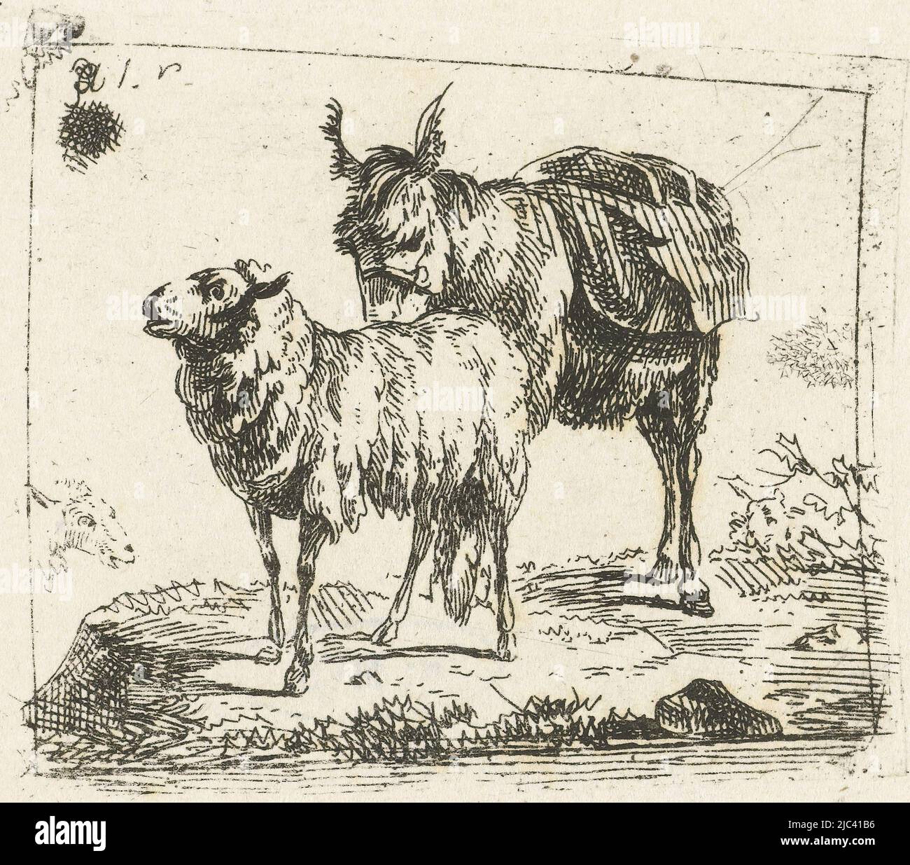 Standing donkey hi-res stock photography and images - Alamy