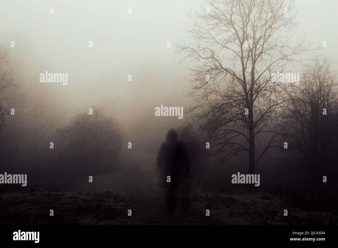 A spooky concept of a blurred, ghostly figure. Walking on a path on a scary, foggy winters day ...