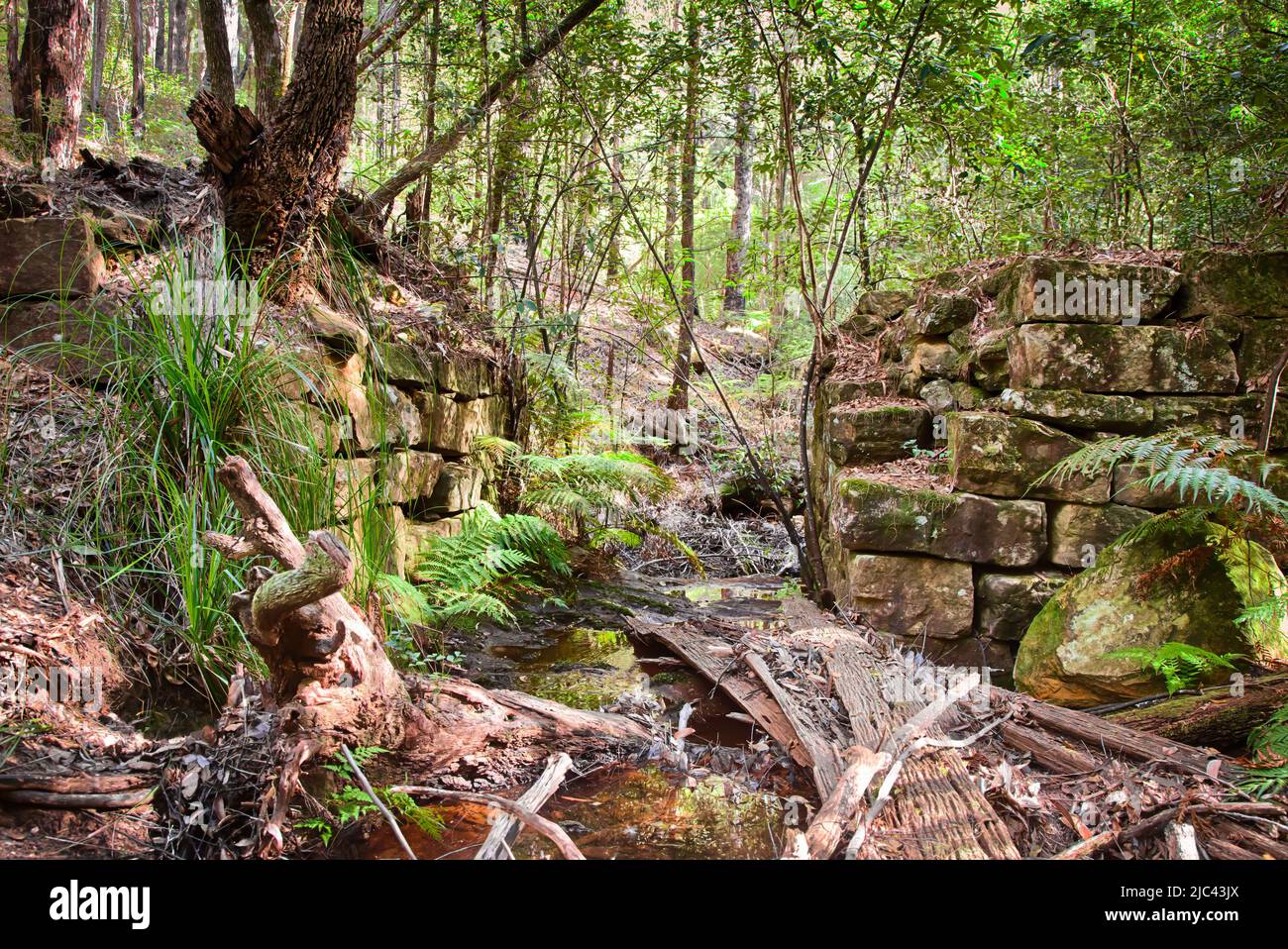 Australian bridge abutments in the bush Stock Photo - Alamy
