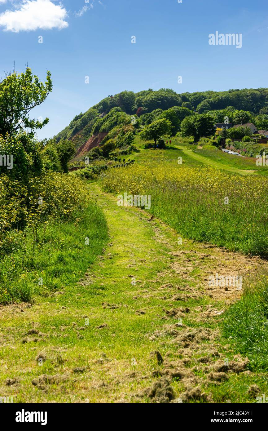 The South West Coast Path at Jacobs Ladder, Sidmouth, East Devon ...